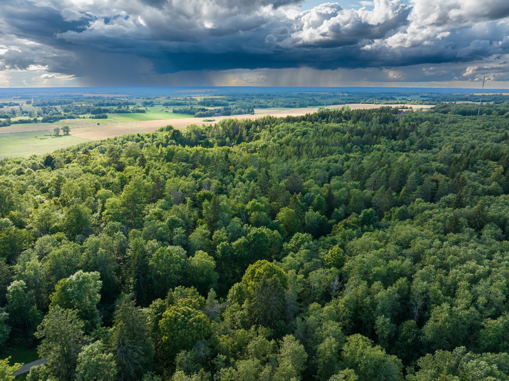Kestliku turismi arendamise programm - Virupärane